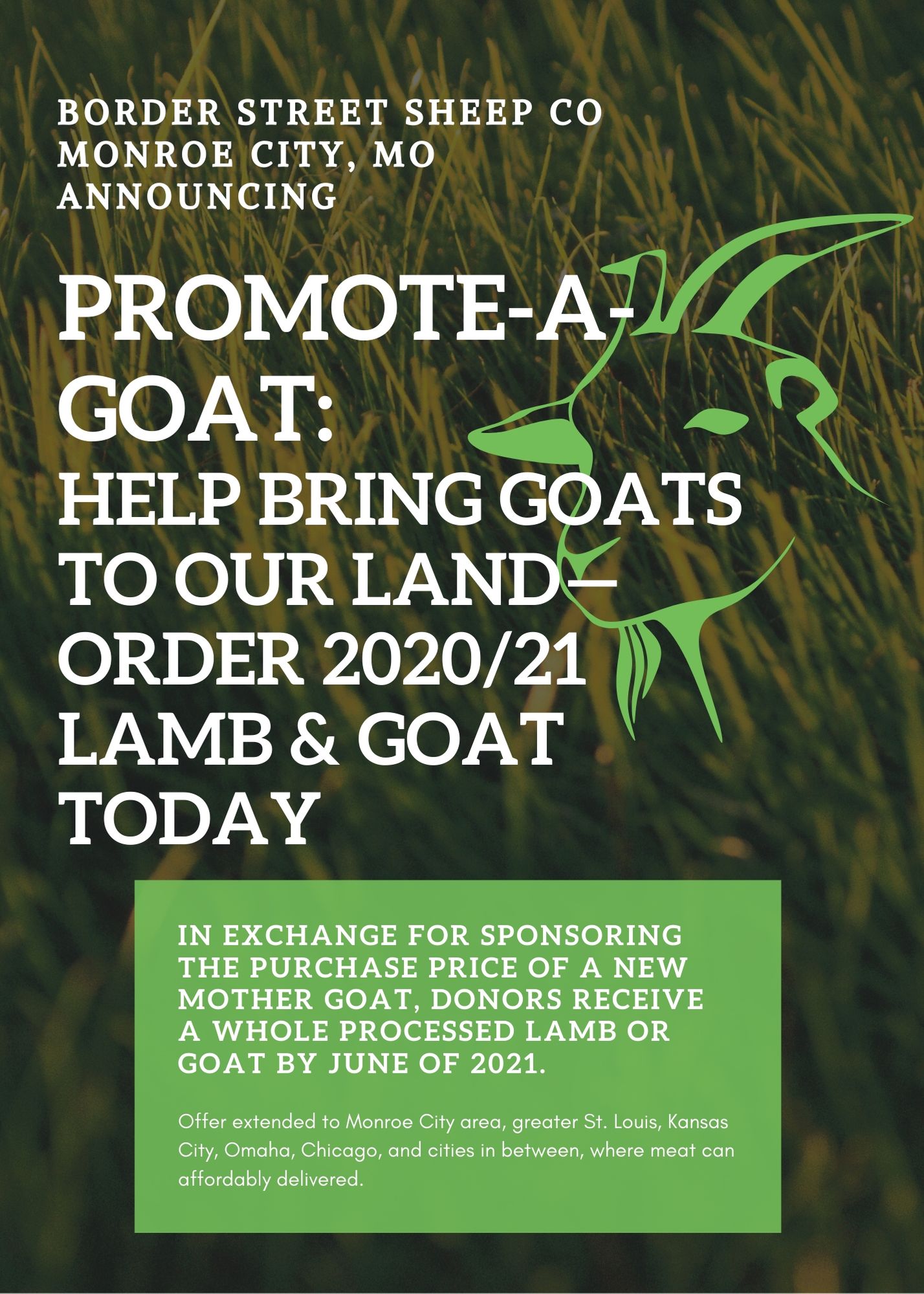 Promote-A-Goat update | Border Street Sheep Co.